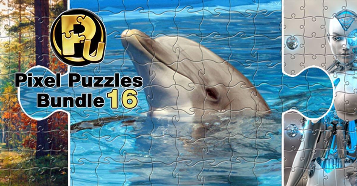 Pixel Puzzles Bundle 16 | XXLGamer.com